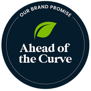 Southern Fresh – Grow together